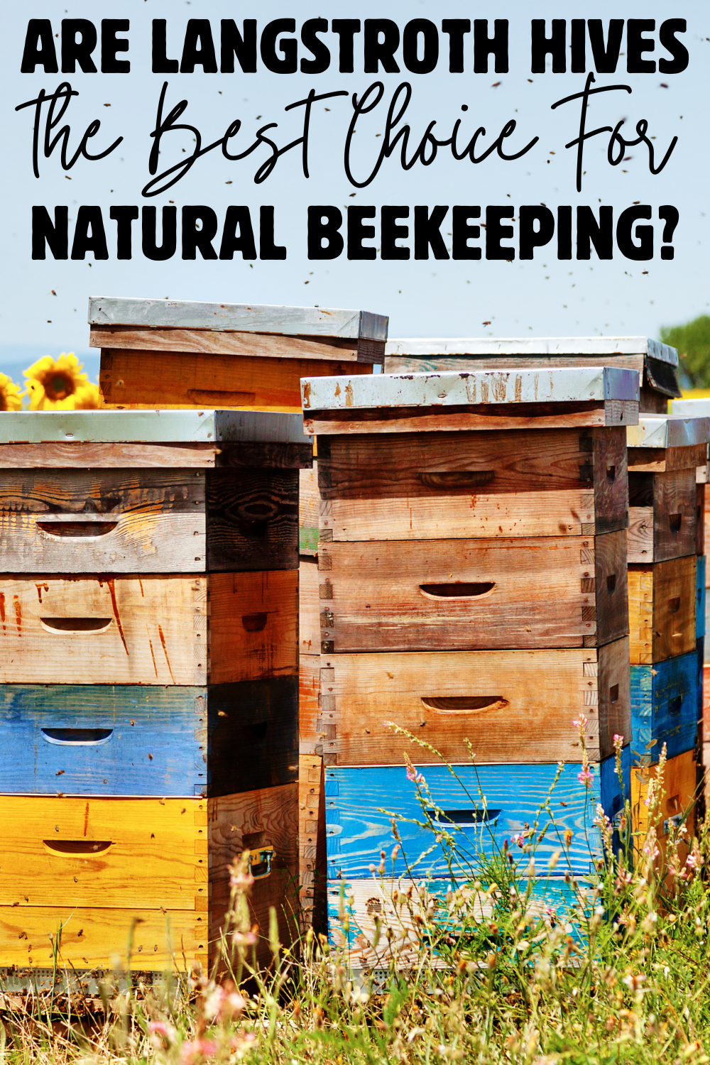 Are Langstroth Hives the Best Choice for Natural Beekeeping? - The ...